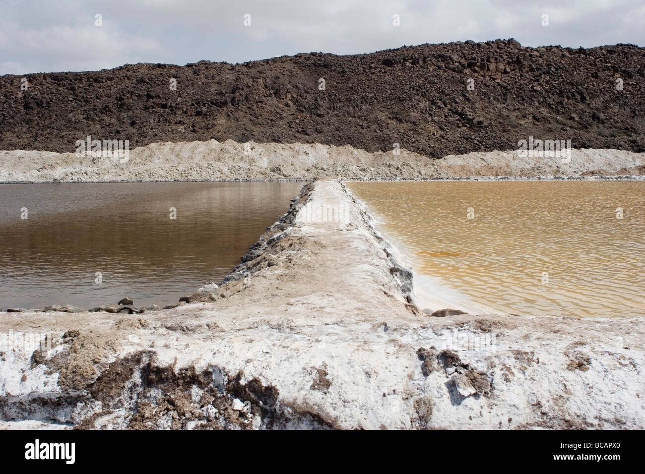 Elidar, Afar region, salt flats near Eritrean border in Ethiopia Stock ...