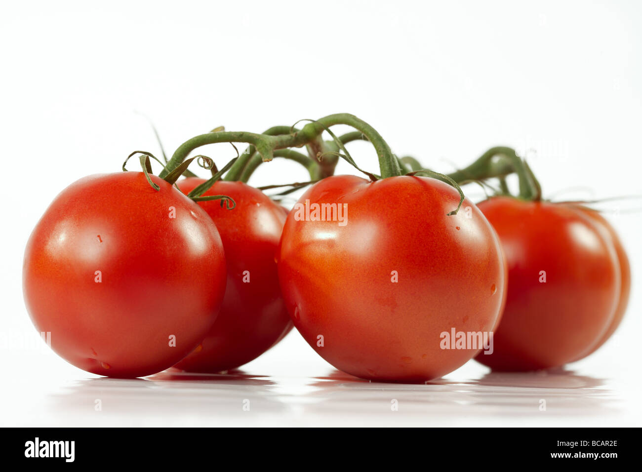 Cluster of tomatoes on a white background Stock Photo - Alamy