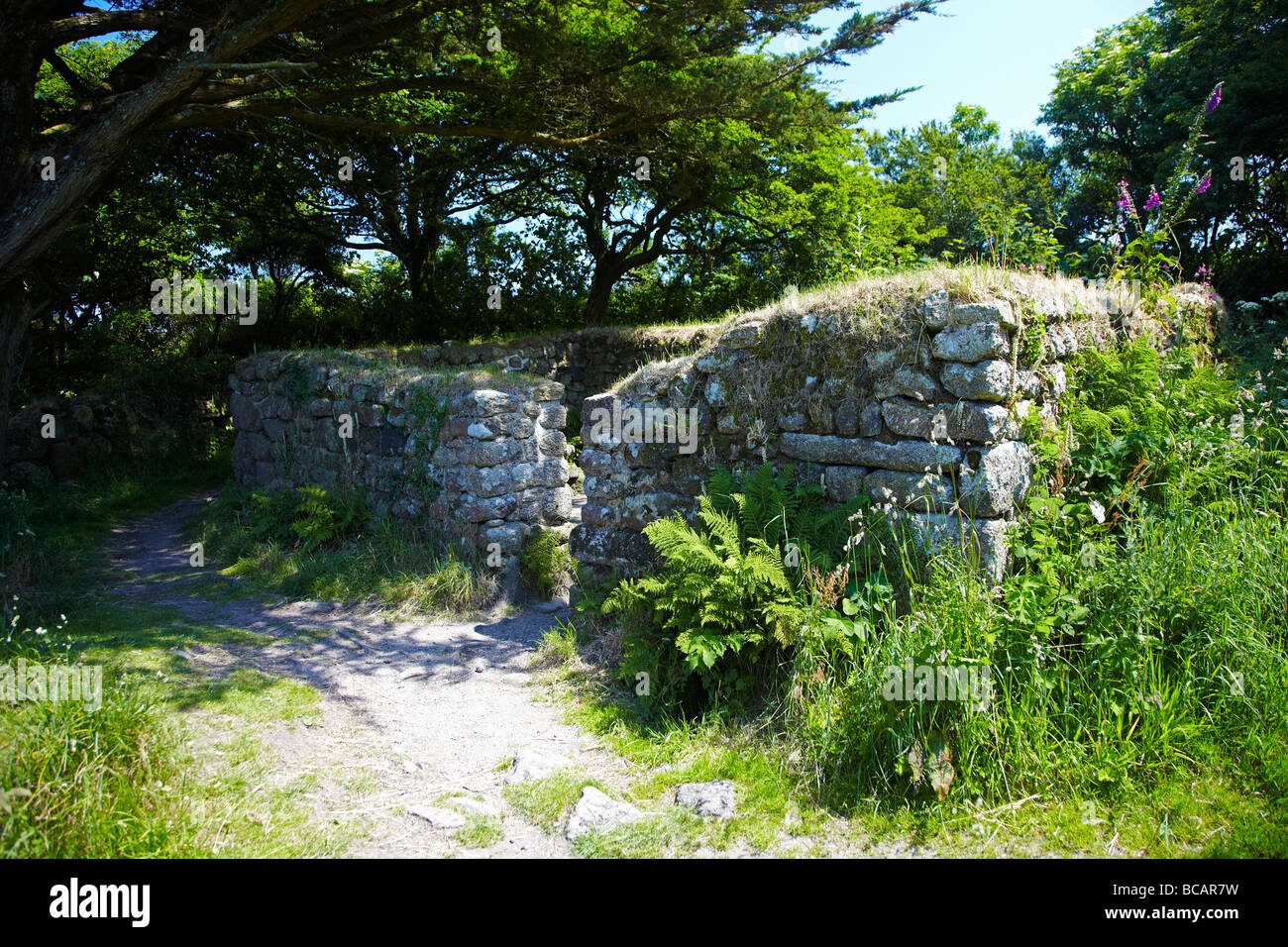 Madron Holy Well Cornwall High Resolution Stock Photography and Images ...