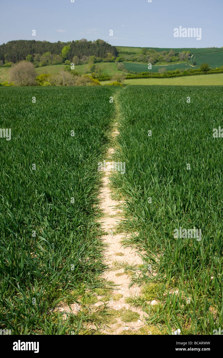 Footpath crossing hi-res stock photography and images - Alamy