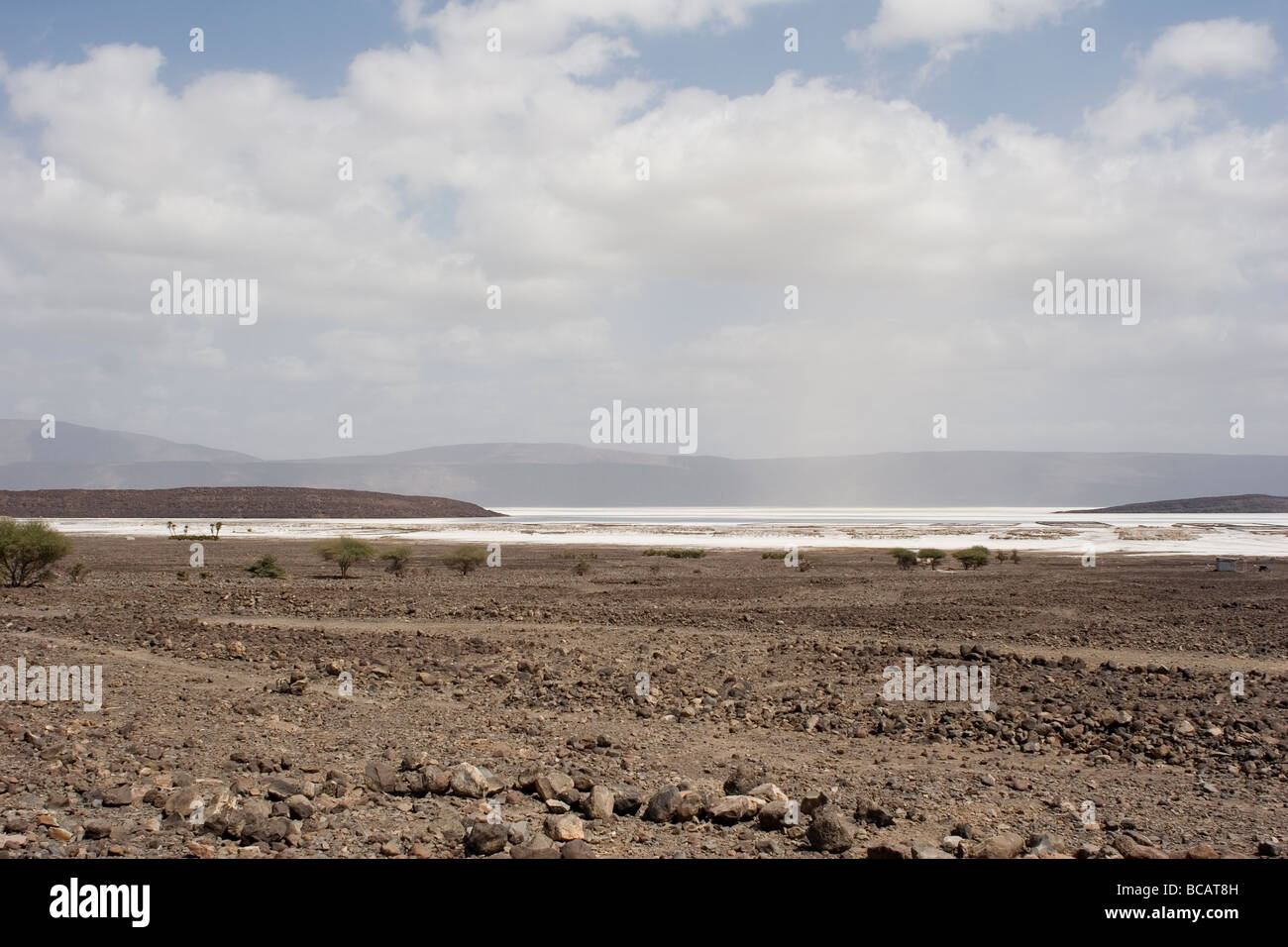 Elidar, Afar region, salt flats near Eritrean border in Ethiopia Stock ...