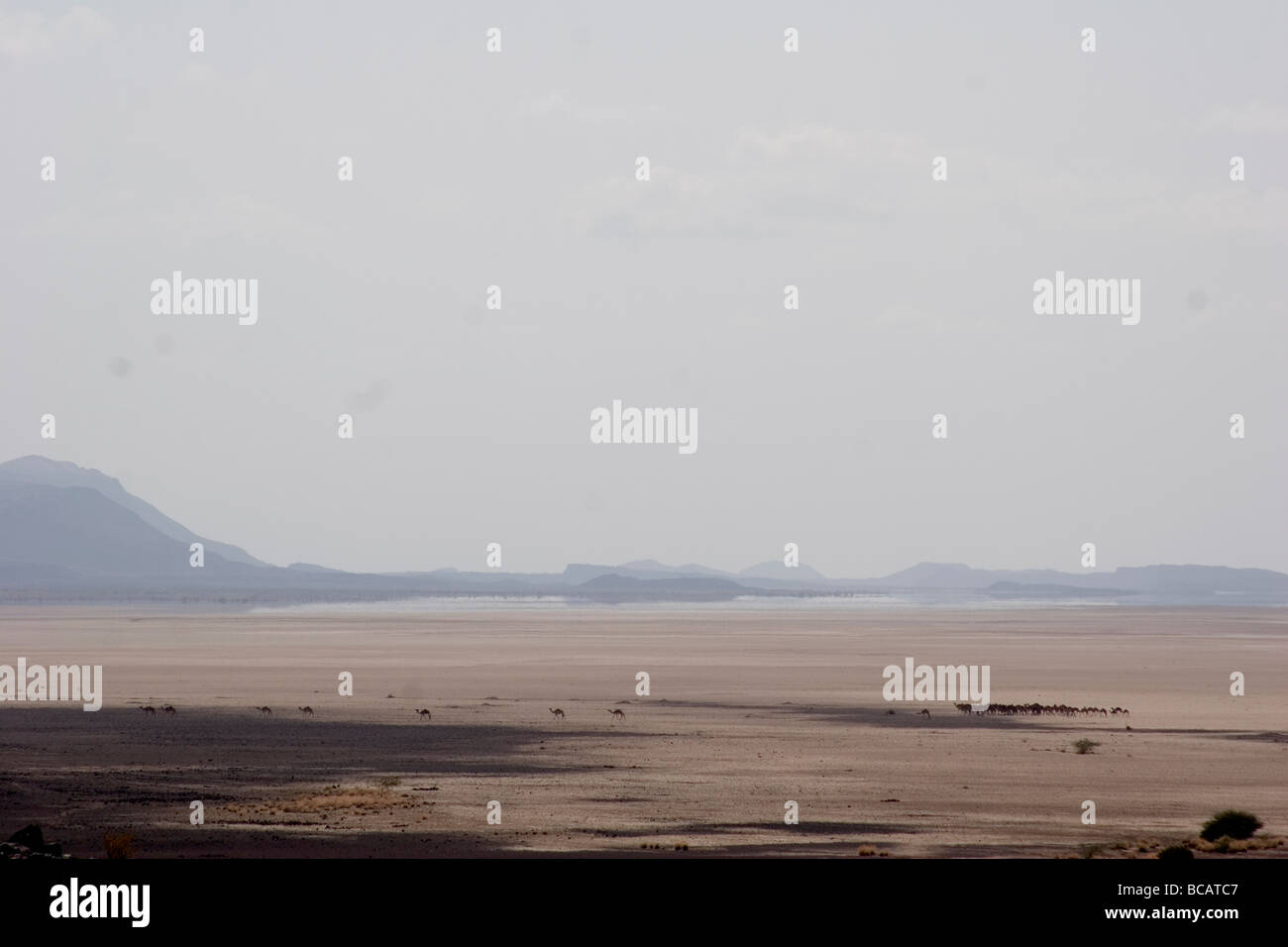 Africa trade border hi-res stock photography and images - Alamy
