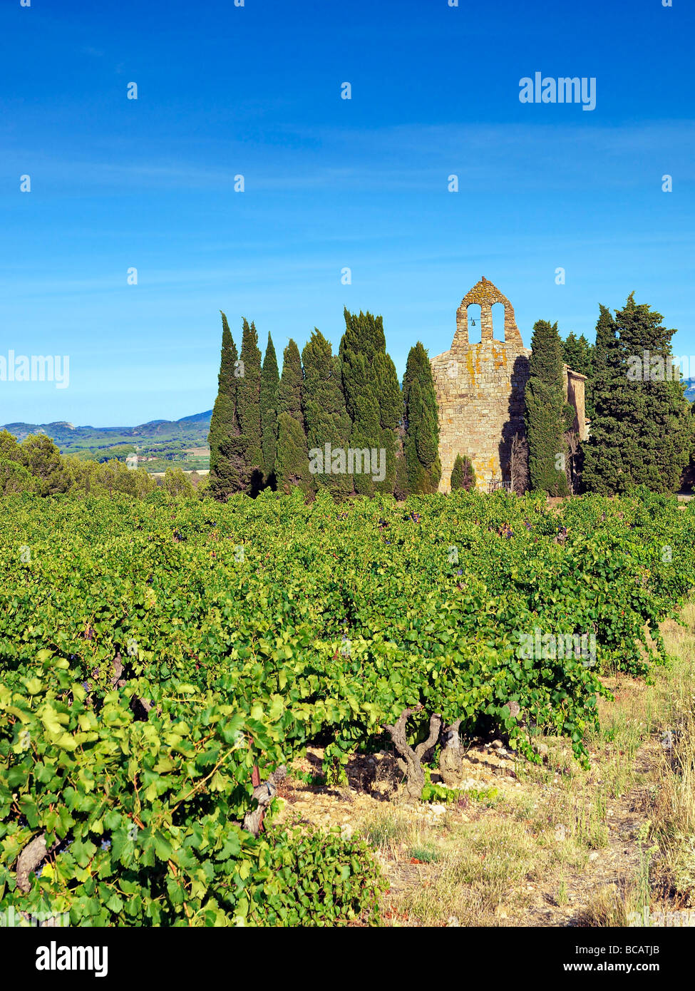 Vineyards in Corbieres, France Stock Photo - Alamy