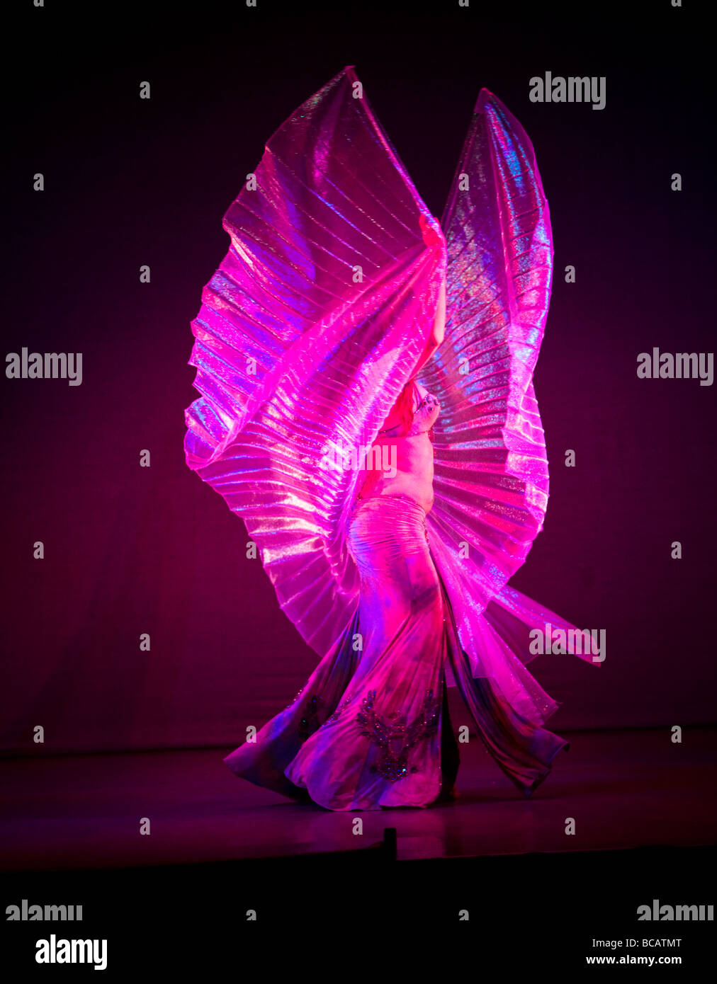 Bellydance belly dancer dance hi-res stock photography and images - Alamy