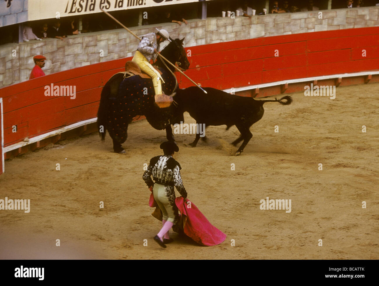 A picador fights a bull during a bull fighting match in Tijuana, Mexico ...