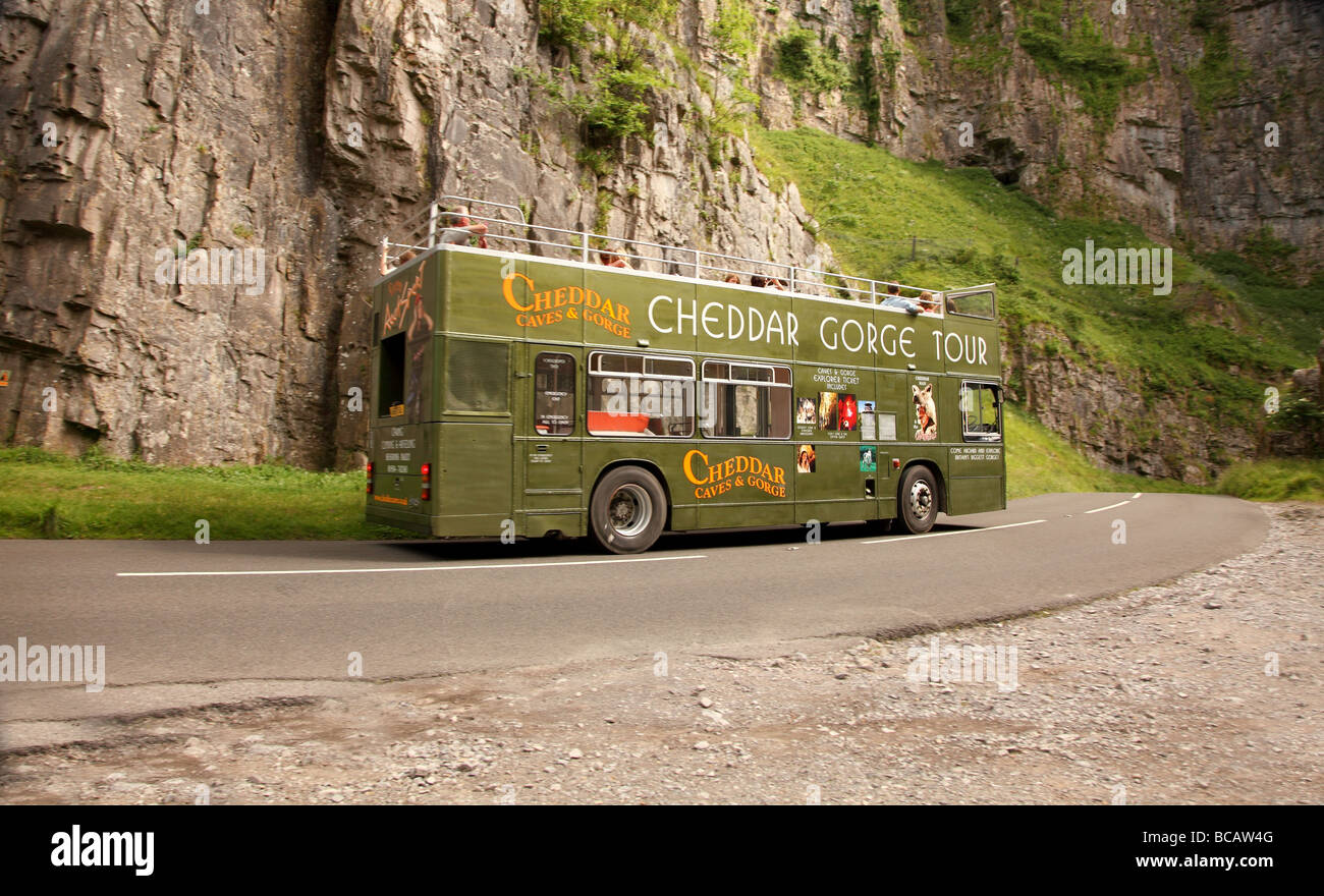 Bus's in Cheddar gorge Stock Photo - Alamy
