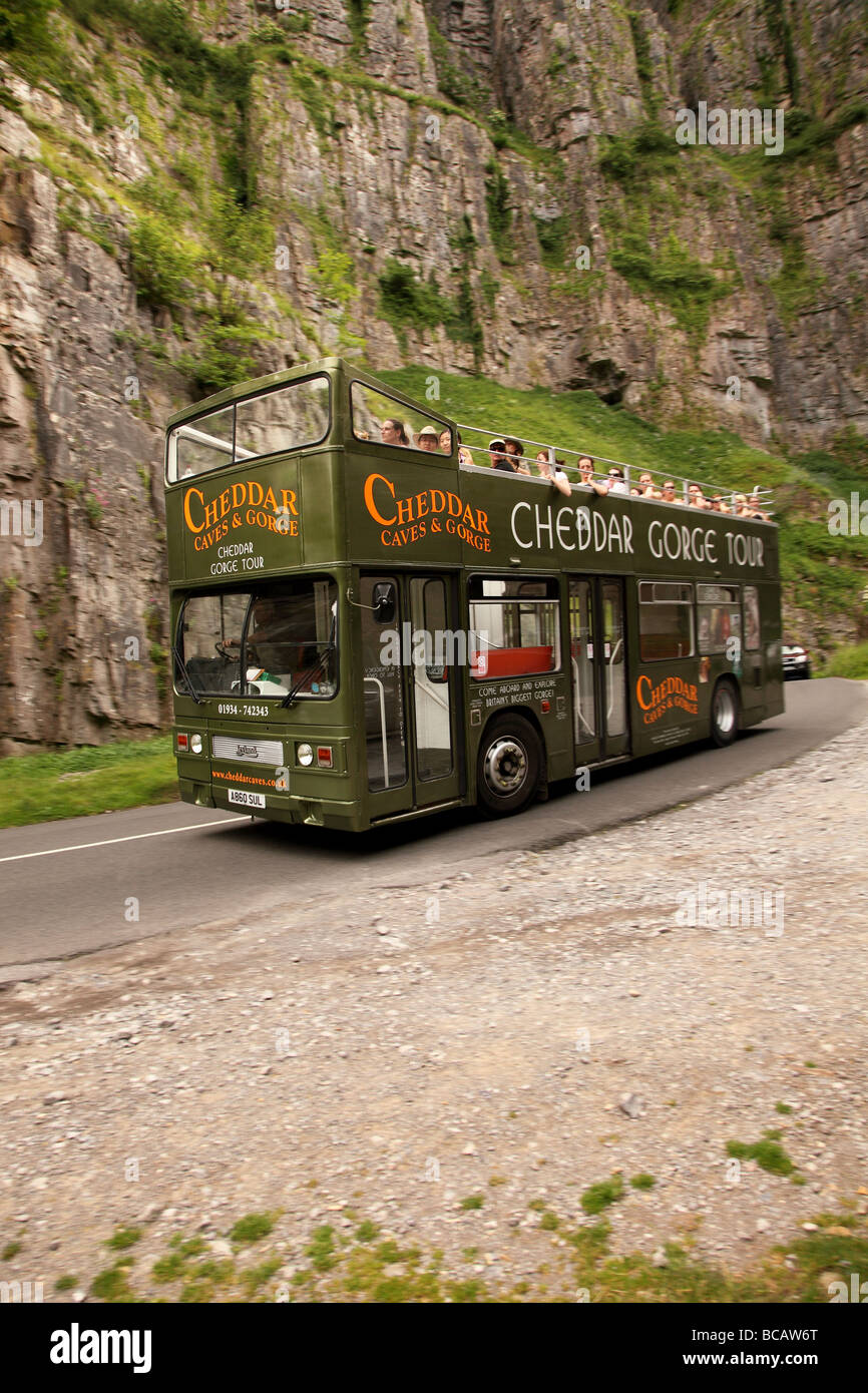 Bus's in Cheddar gorge Stock Photo - Alamy