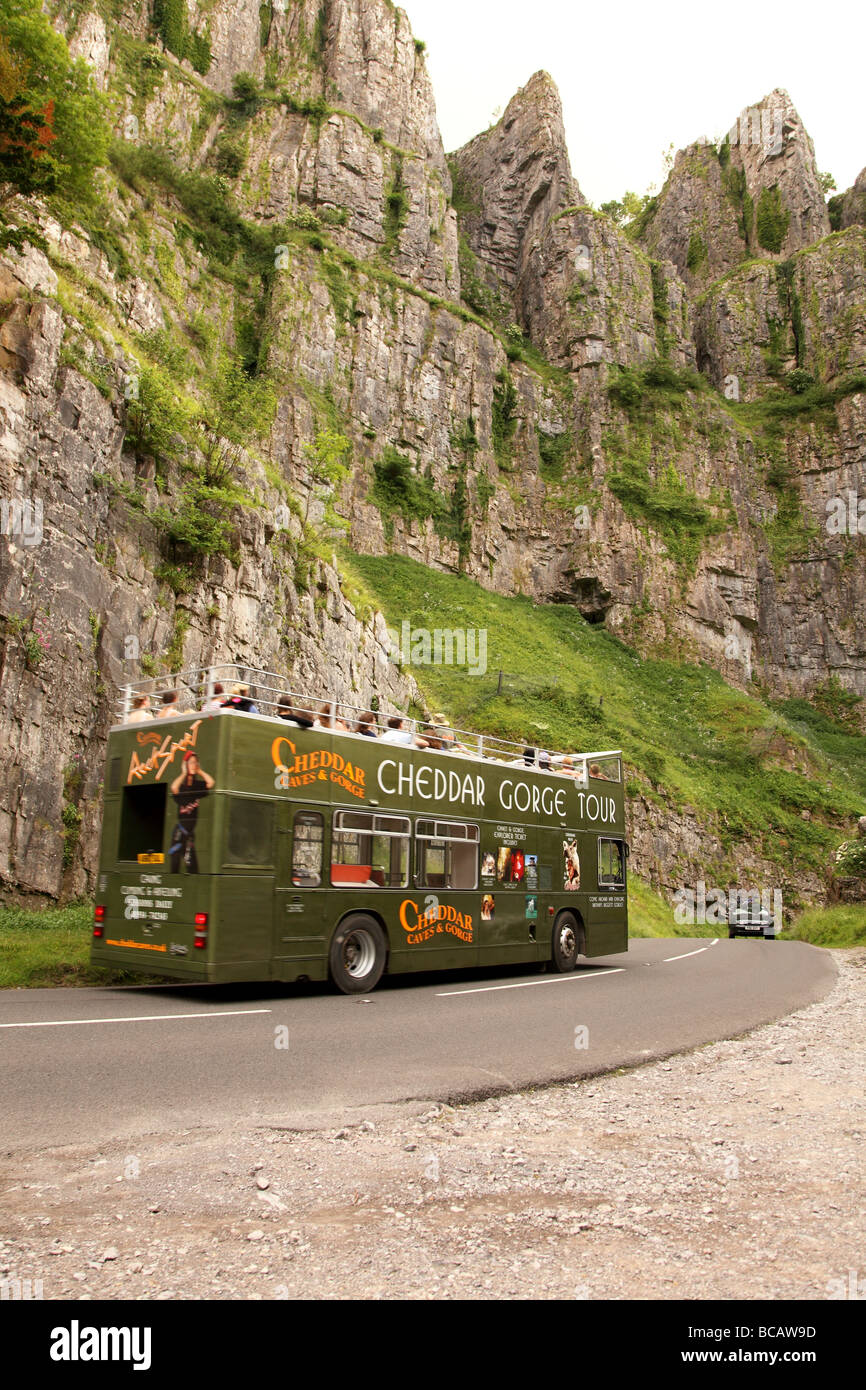 Bus's in Cheddar gorge Stock Photo - Alamy