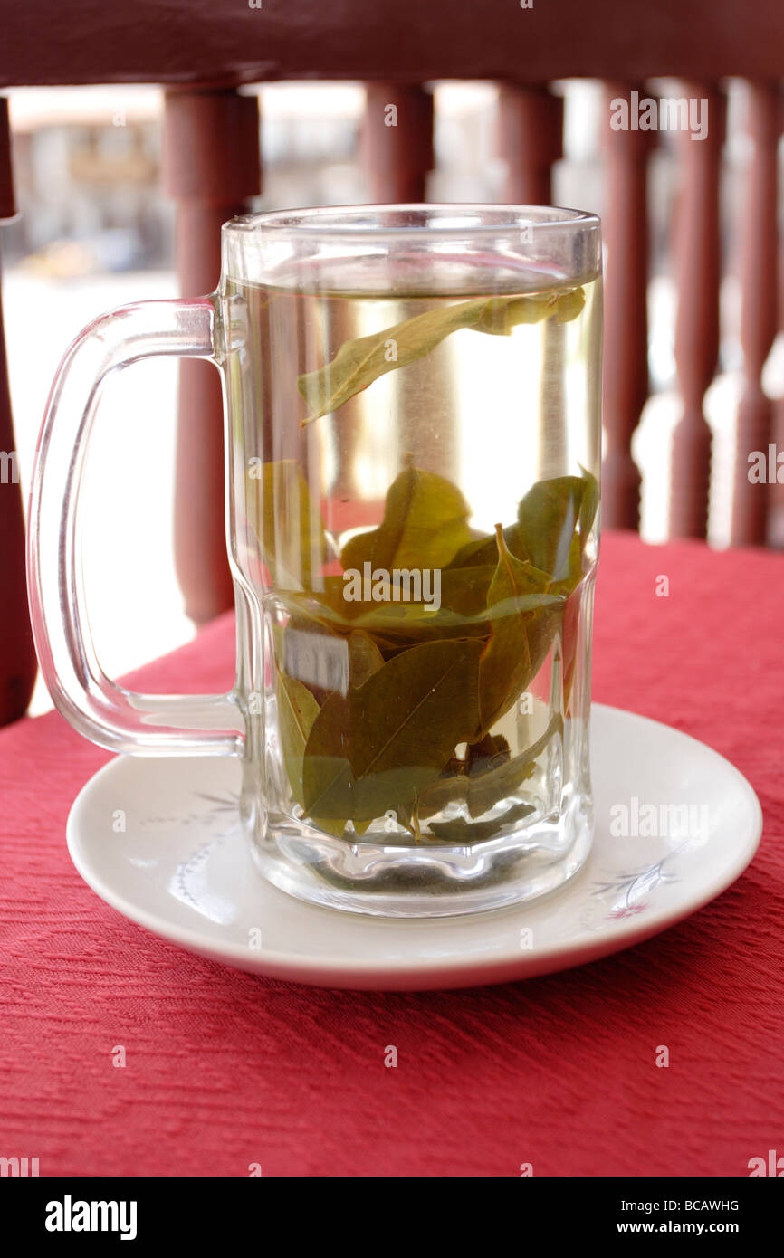 Coca Tea served in cafe in Cusco Peru Stock Photo - Alamy