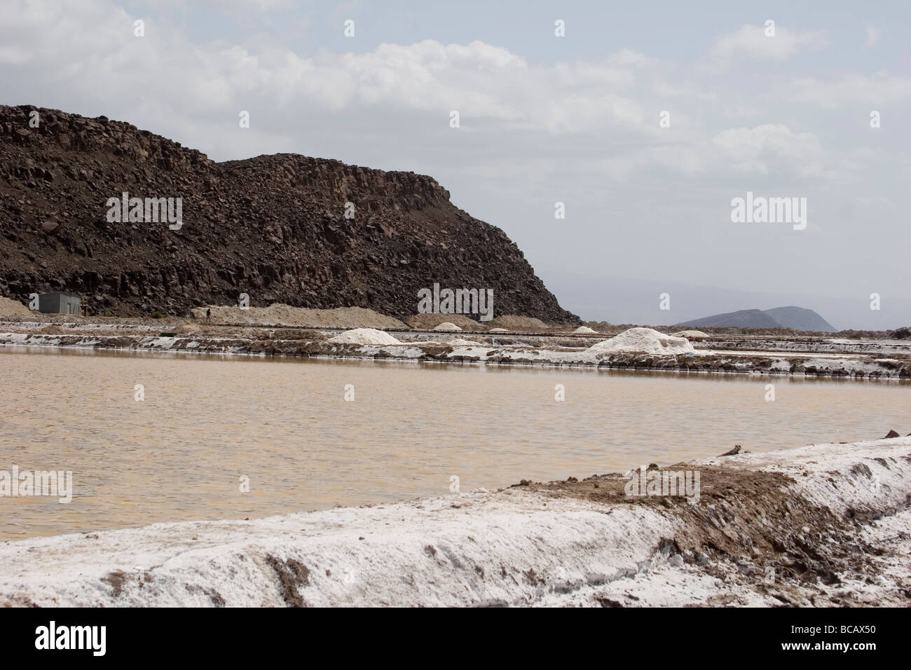 Elidar, Afar region, salt flats near Eritrean border in Ethiopia Stock ...