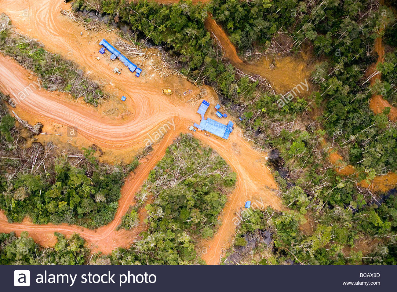 Deforesting Stock Photos & Deforesting Stock Images - Alamy