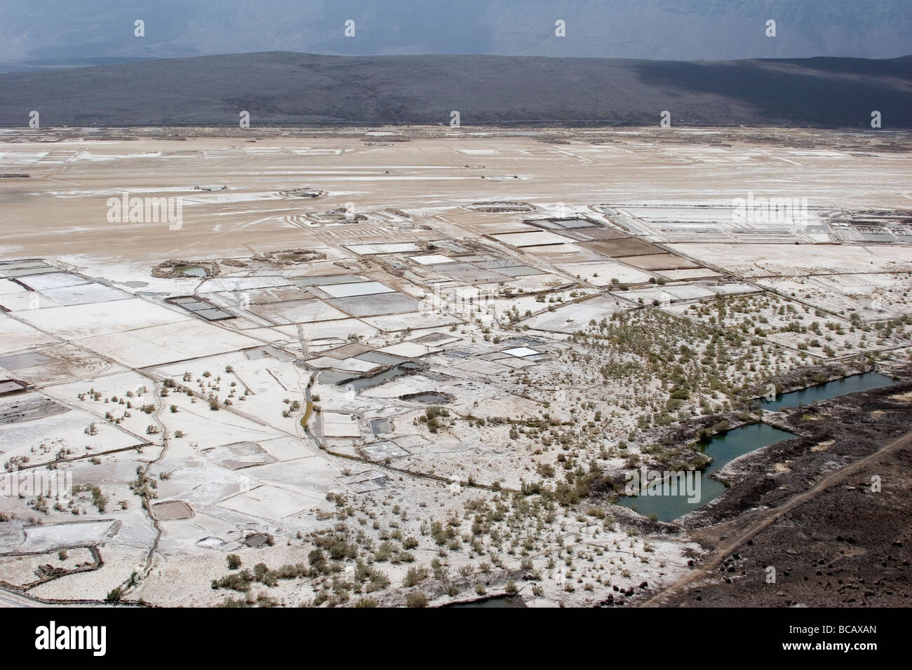 Elidar, Afar region, salt flats near Eritrean border in Ethiopia Stock ...