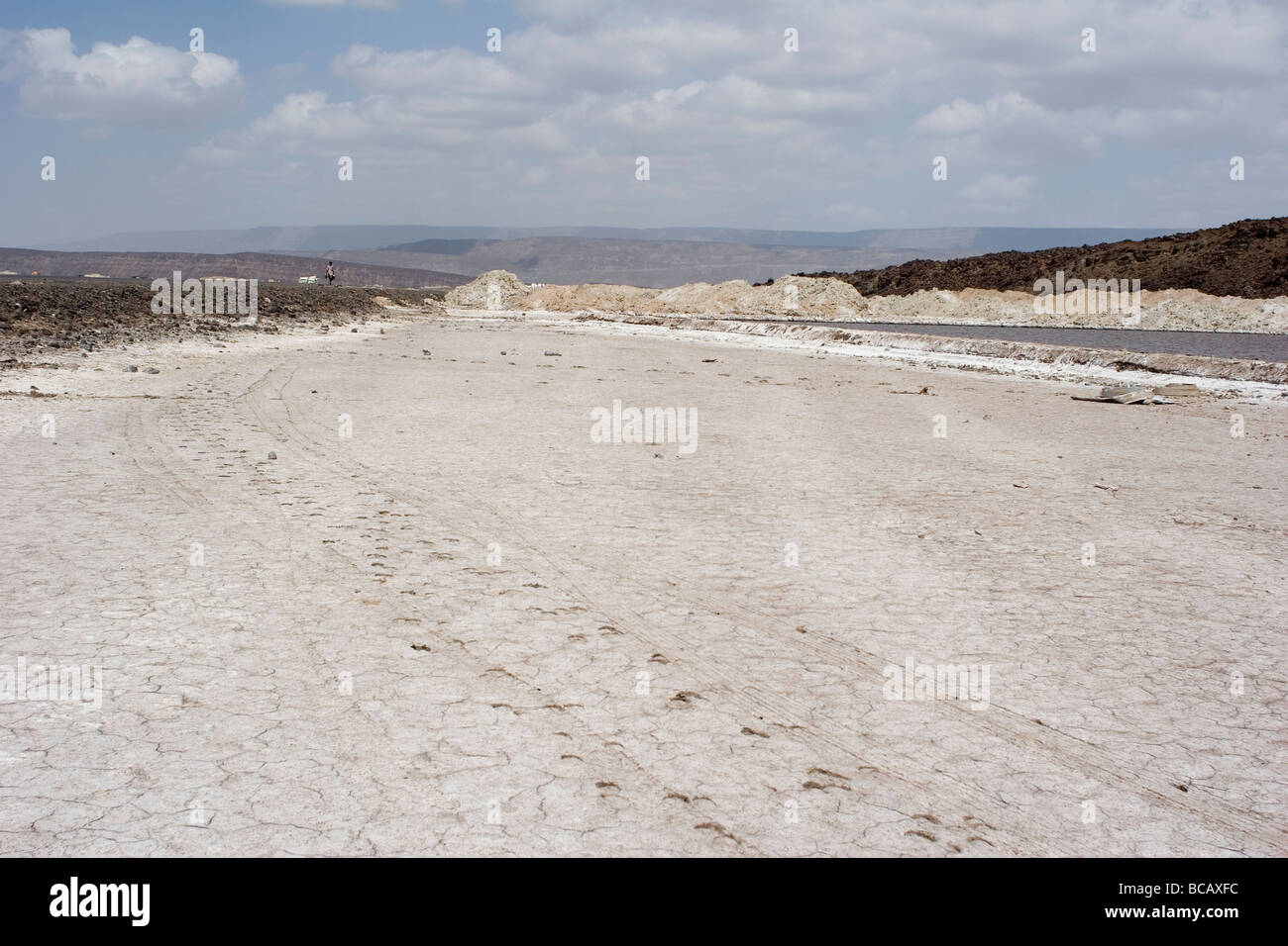Elidar, Afar region, salt flats near Eritrean border in Ethiopia Stock ...