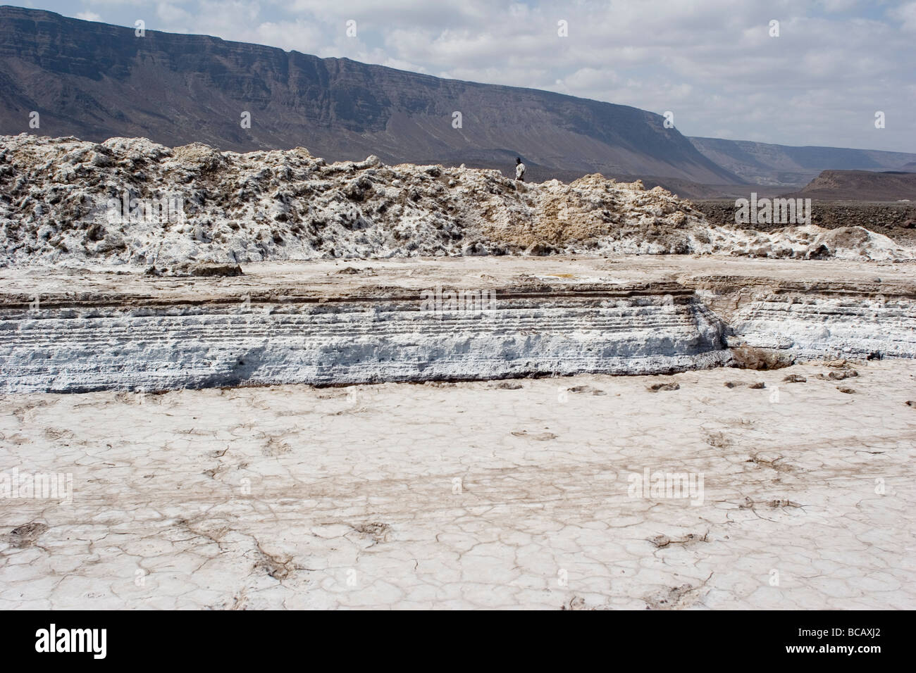 Elidar, Afar region, salt flats near Eritrean border in Ethiopia Stock ...