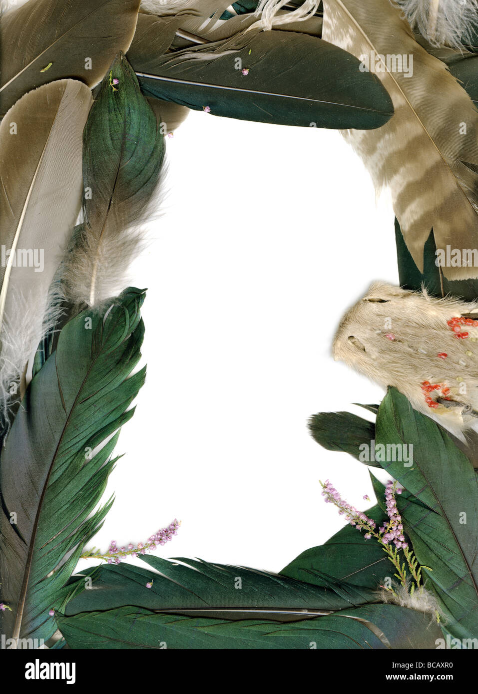 Frame made from raven feathers Stock Photo - Alamy