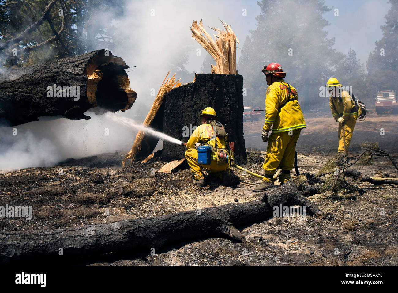 California wildfire in Santa Cruz Mountains. CALFIRE/CDF wildland ...