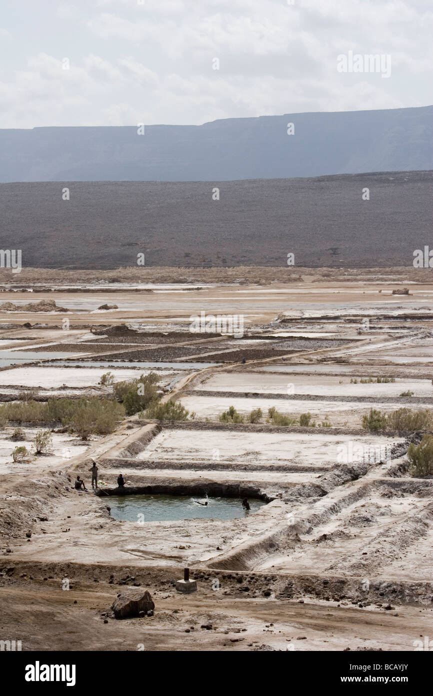 Elidar, Afar region, salt flats near Eritrean border in Ethiopia Stock ...