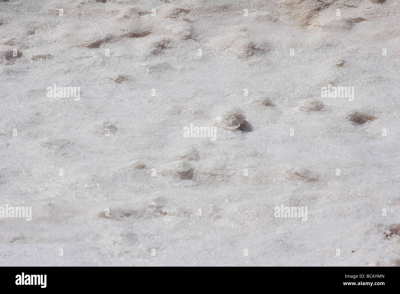 Elidar, Afar region, salt flats near Eritrean border in Ethiopia Stock ...