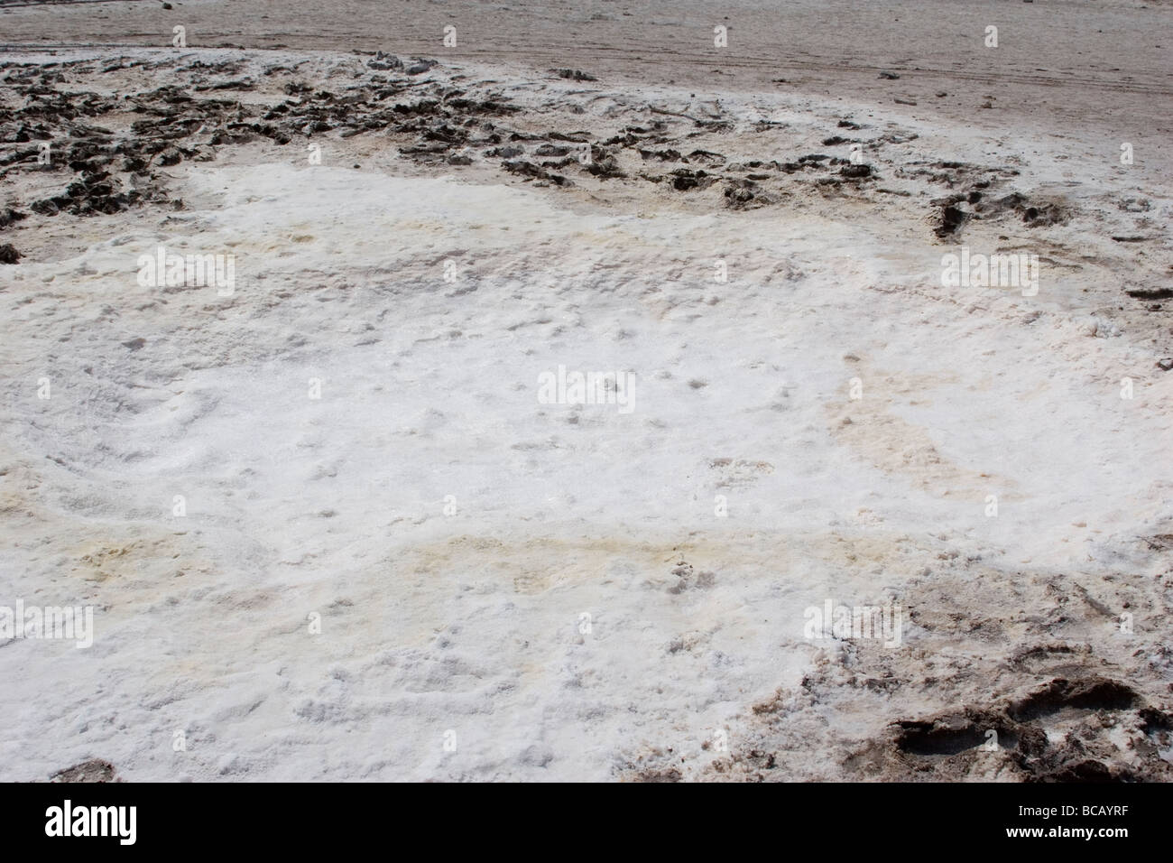 Elidar, Afar region, salt flats near Eritrean border in Ethiopia Stock ...