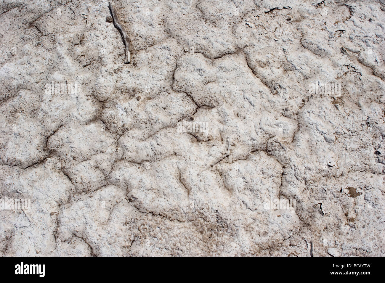 Elidar, Afar region, salt flats near Eritrean border in Ethiopia Stock ...