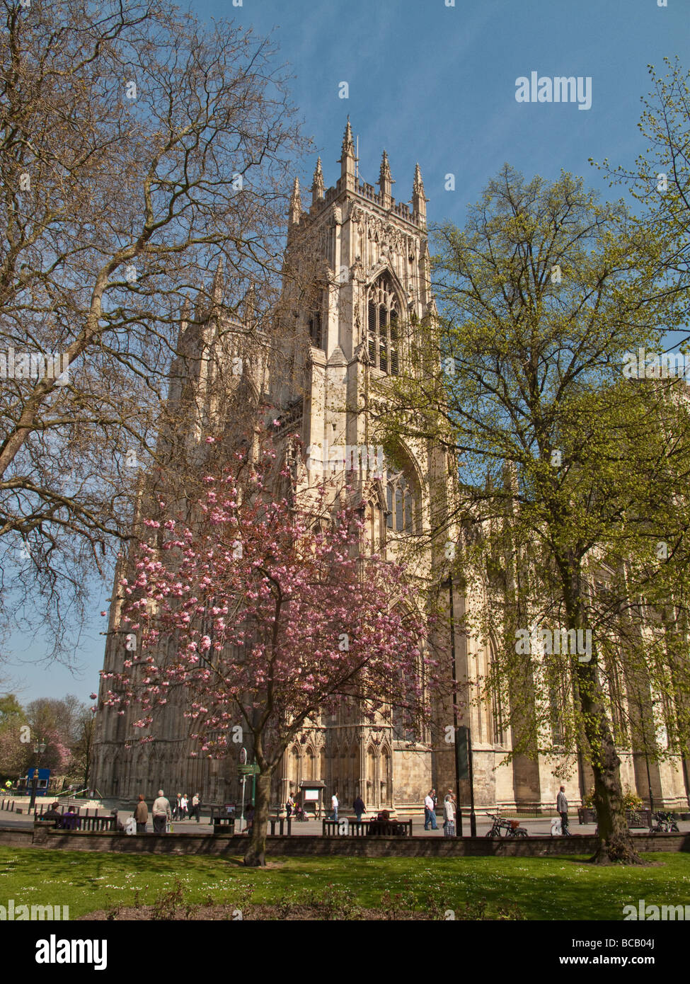 Blossom england hi-res stock photography and images - Alamy