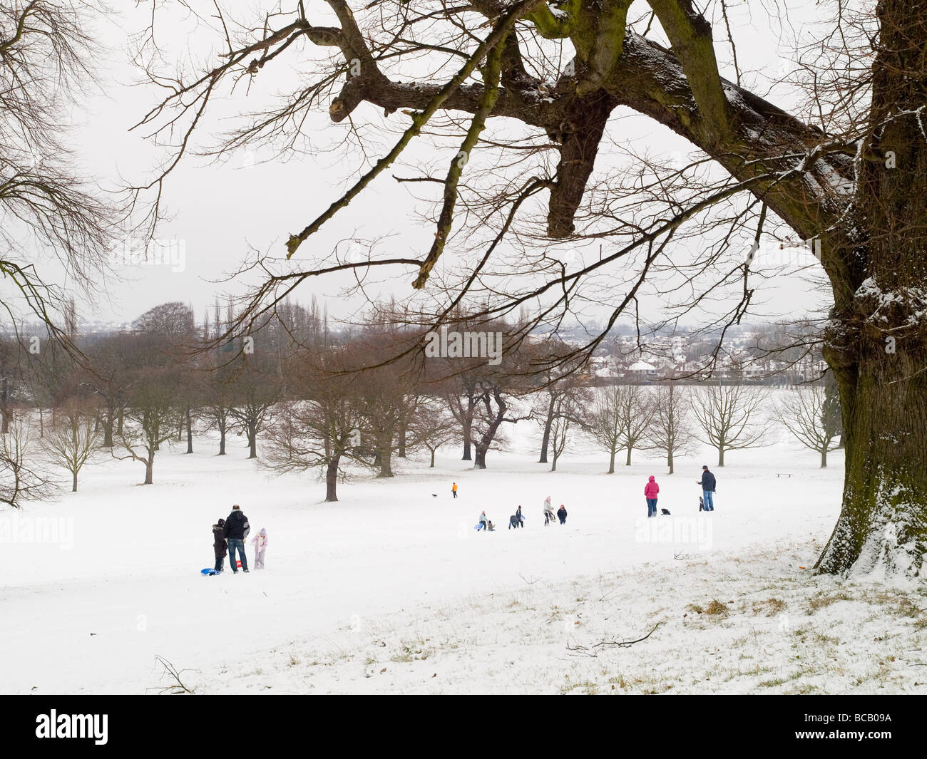 People sledging in the snow at Wollaton Hall, Nottingham ...