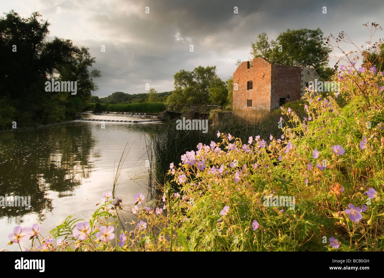 Cutt mill dorset hi-res stock photography and images - Alamy