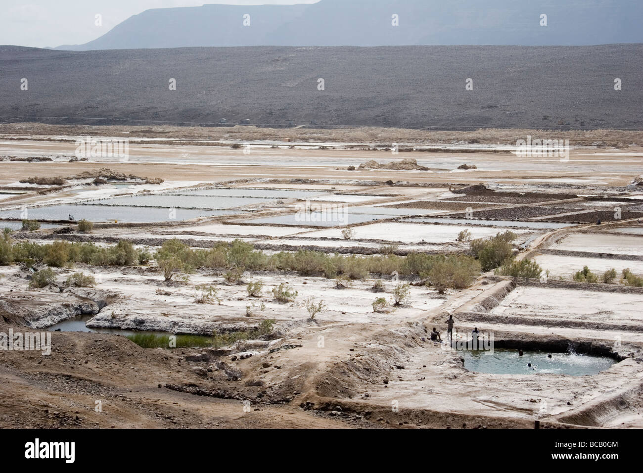 Elidar, Afar region, salt flats near Eritrean border in Ethiopia Stock ...