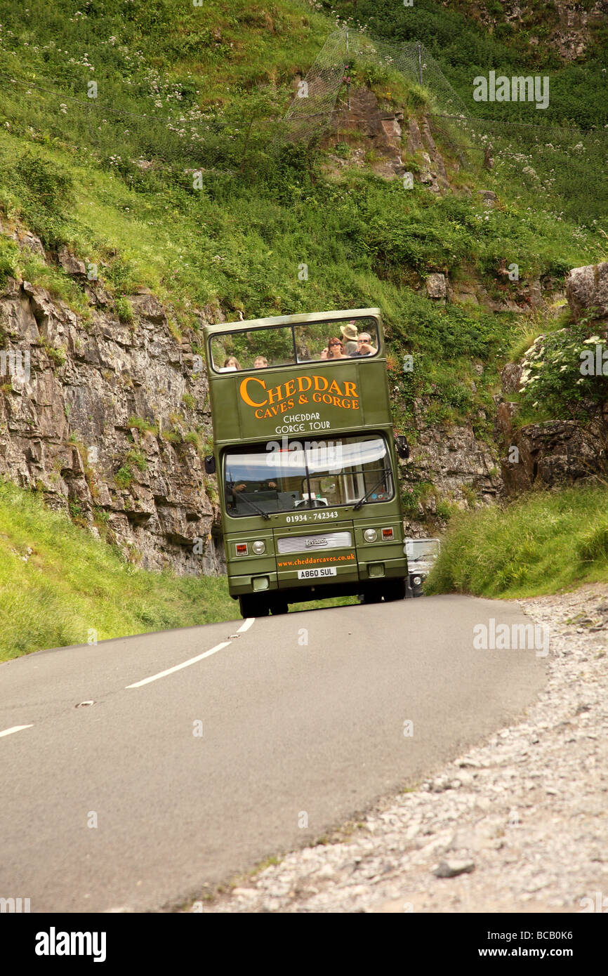 Bus's in Cheddar gorge Stock Photo - Alamy
