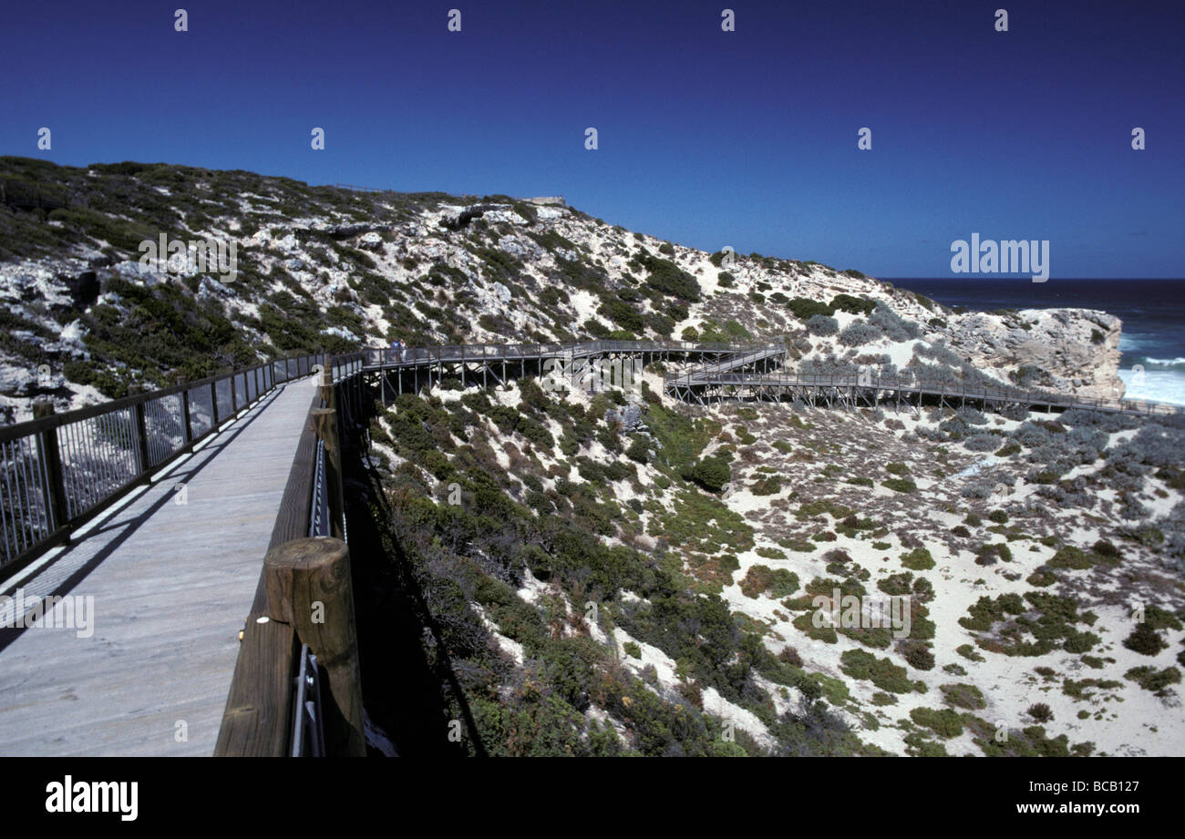 A raised tourist walk way over sand dunes for habitat conservation ...