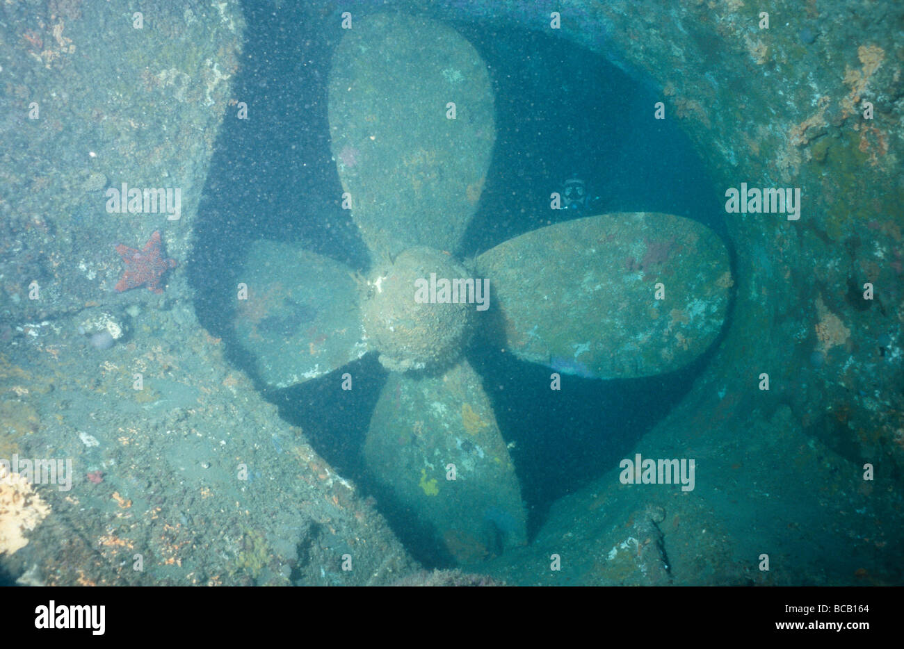 A dwarfed Scuba Diver sits on the massive propeller of a ship wreck ...