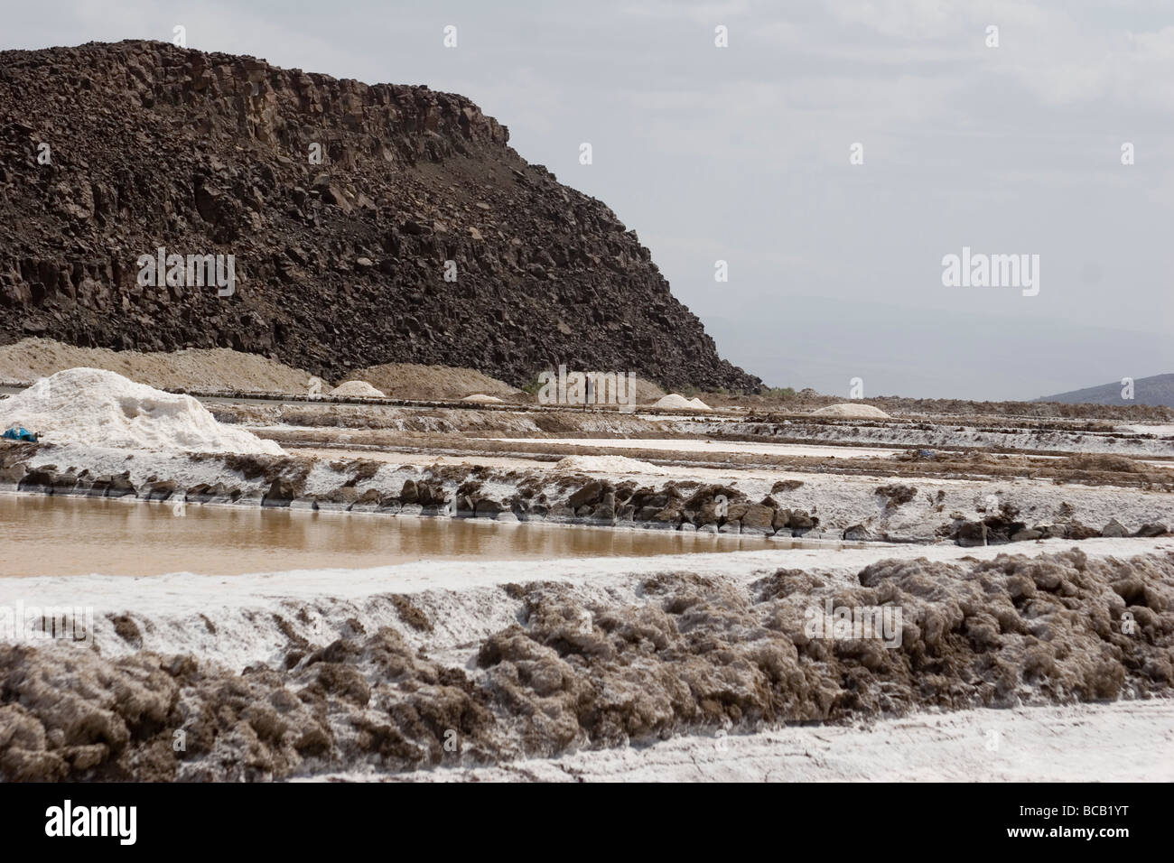 Elidar Afar region salt flats near Eritrean border Ethiopia Stock Photo ...