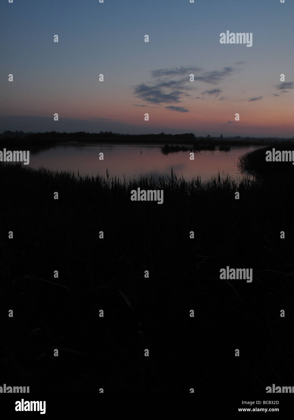 Rspb strumpshaw fen reserve hi-res stock photography and images - Alamy