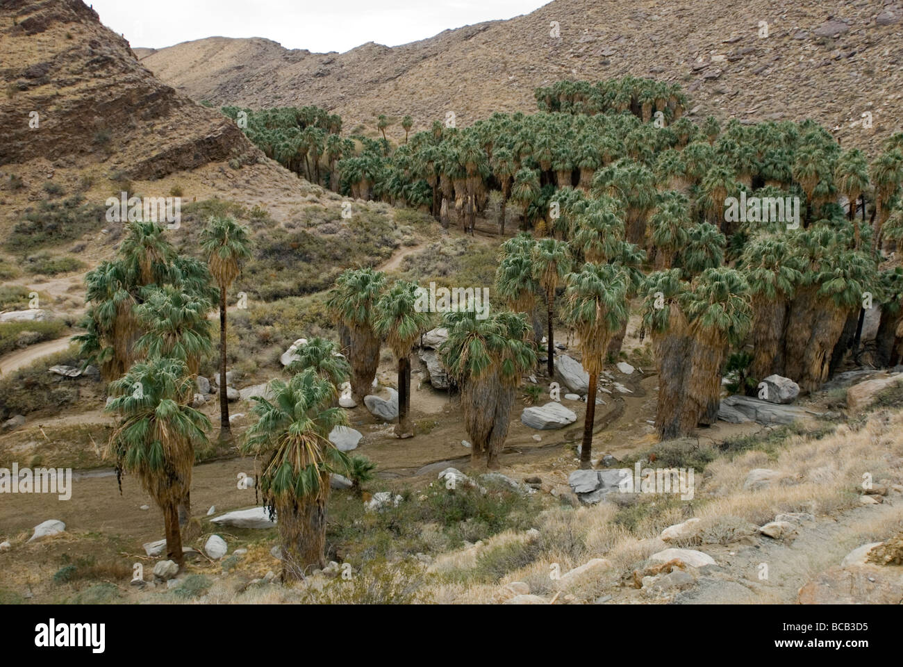 Cahuilla High Resolution Stock Photography and Images - Alamy