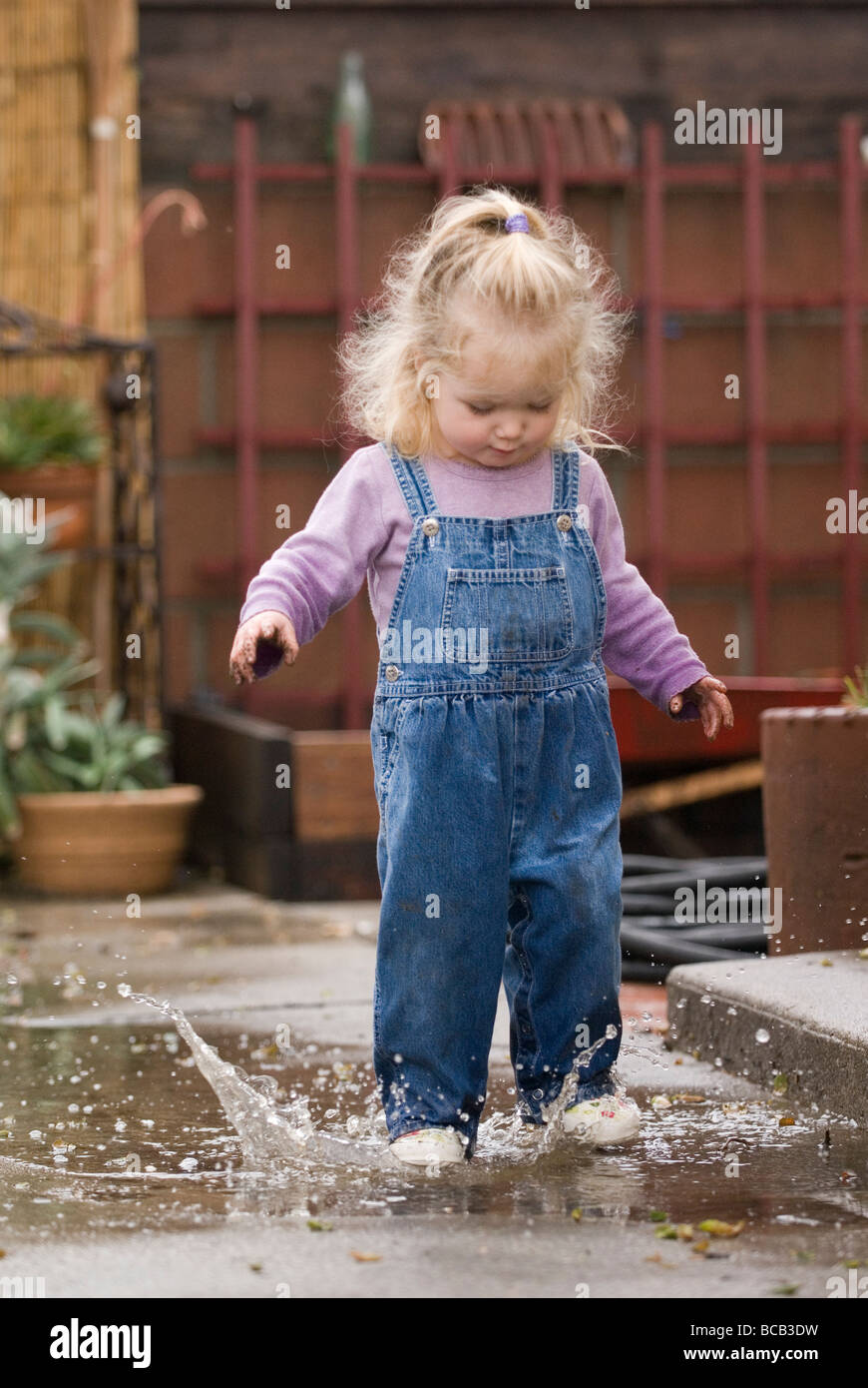 22 month old girl splashes in a puddle in her backyard Stock Photo - Alamy