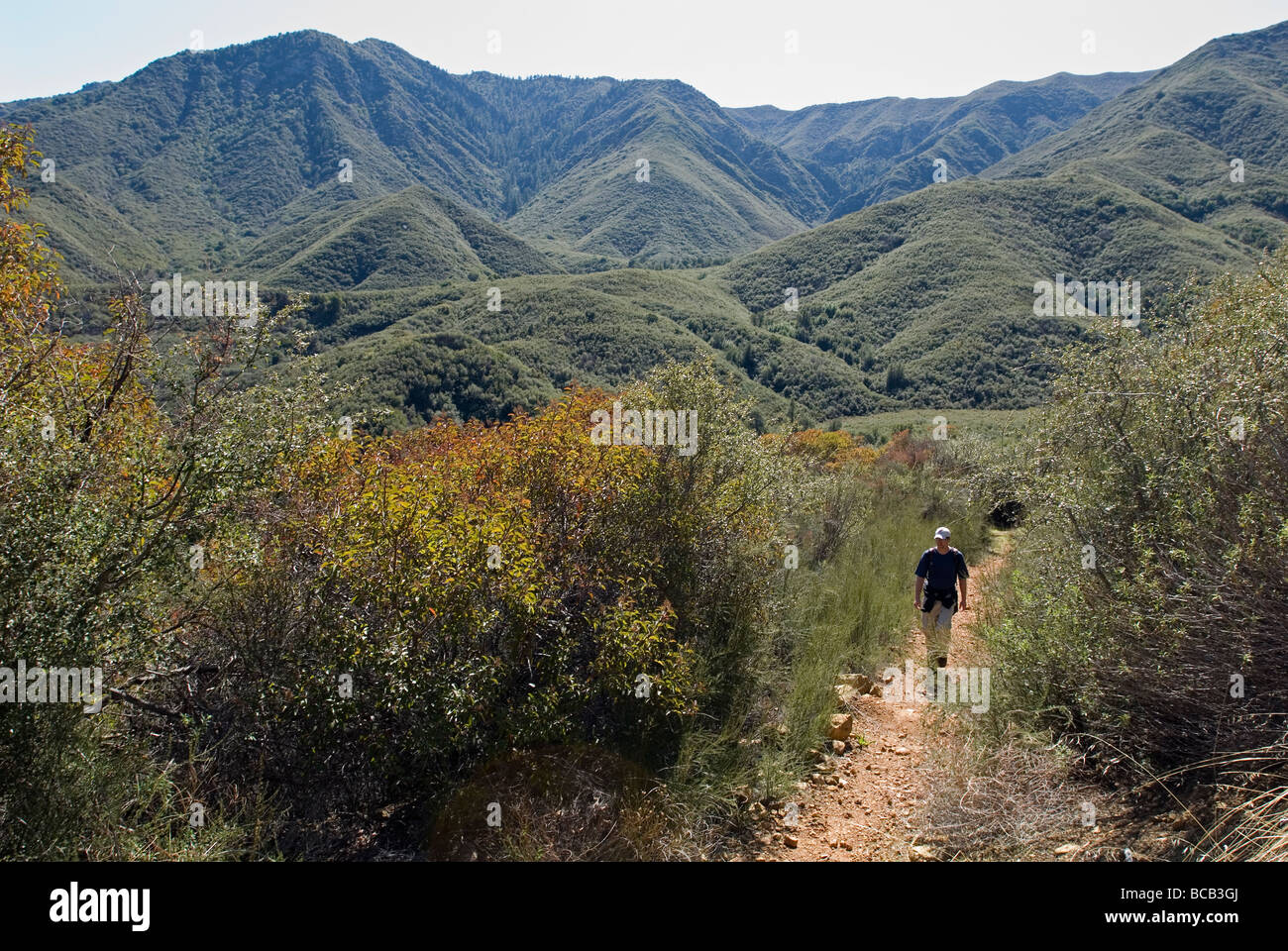 Matilija hi-res stock photography and images - Alamy