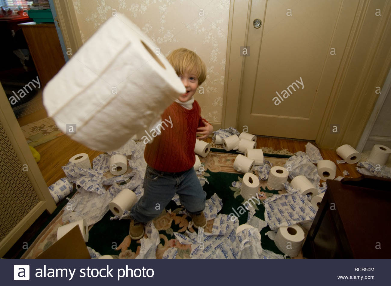 Toilet Paper Mess Stock Photos & Toilet Paper Mess Stock Images - Alamy
