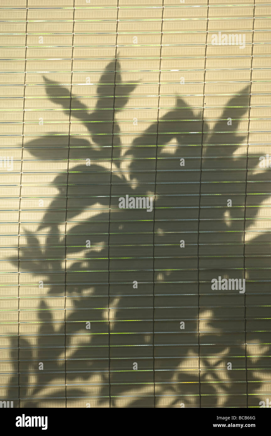 Vegetation silhouette hi-res stock photography and images - Alamy