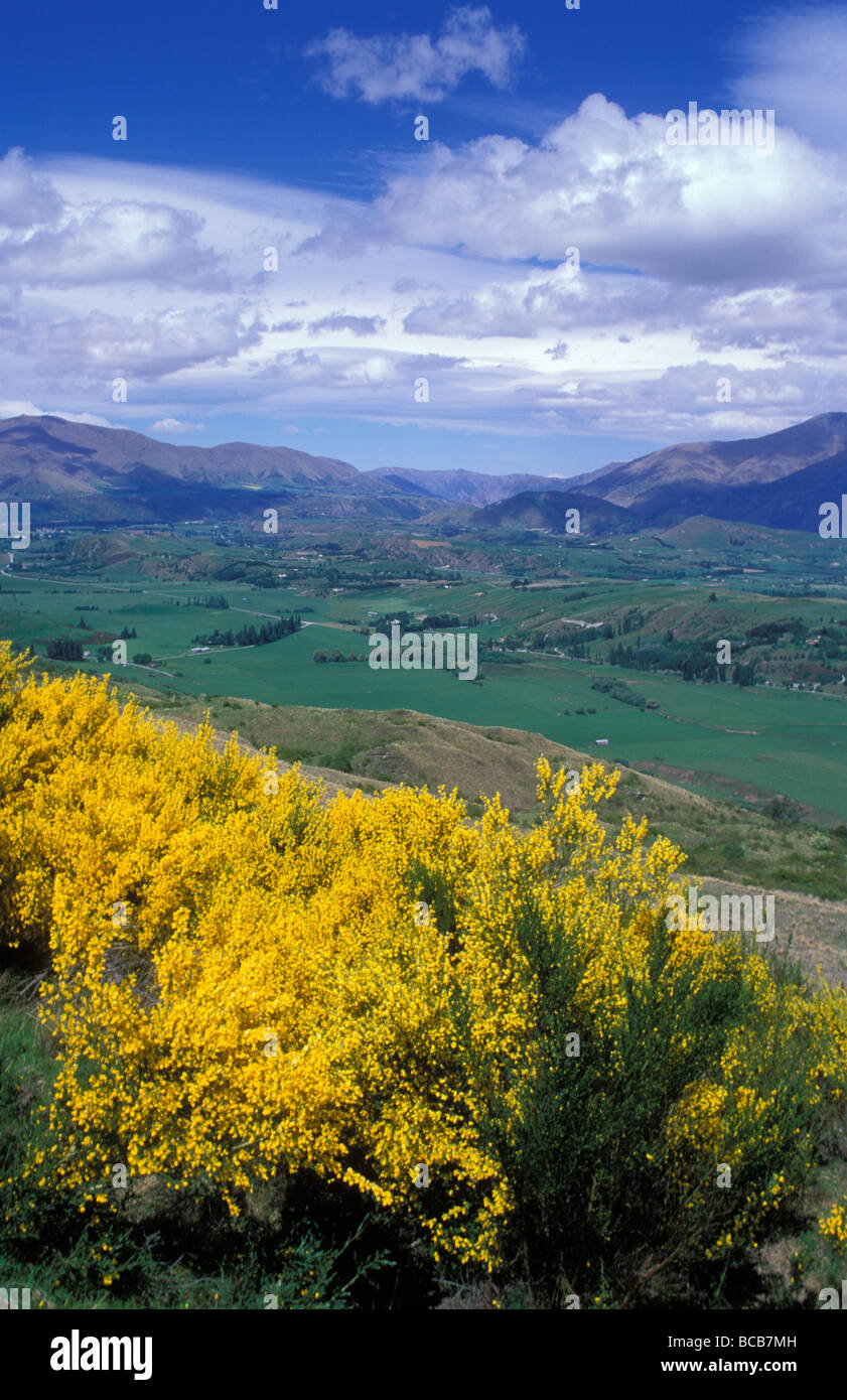 Dalefield hi-res stock photography and images - Alamy