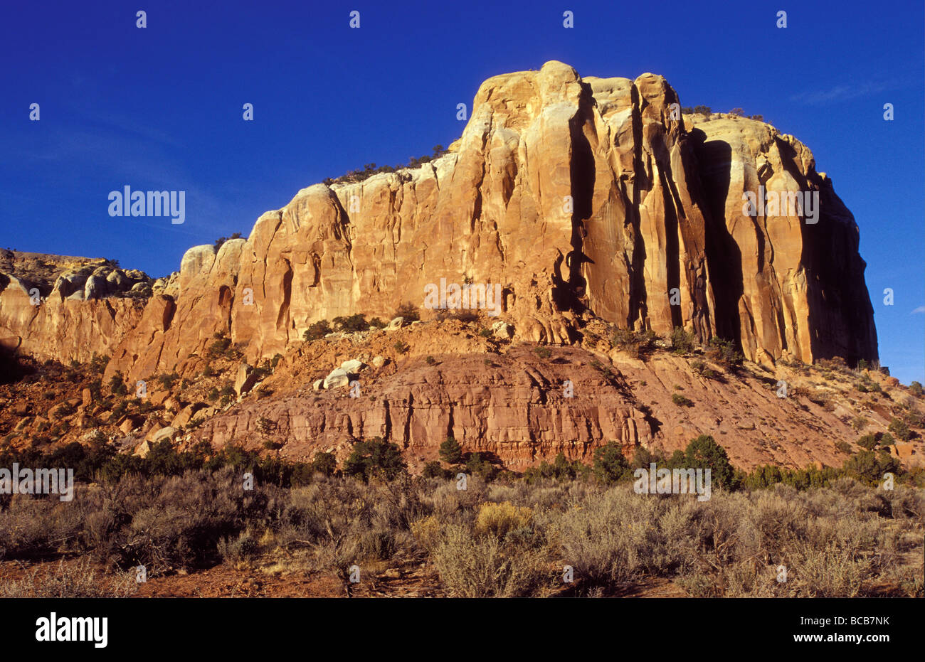 Red rock mesa and desert landscape in Carson National Forest Stock ...