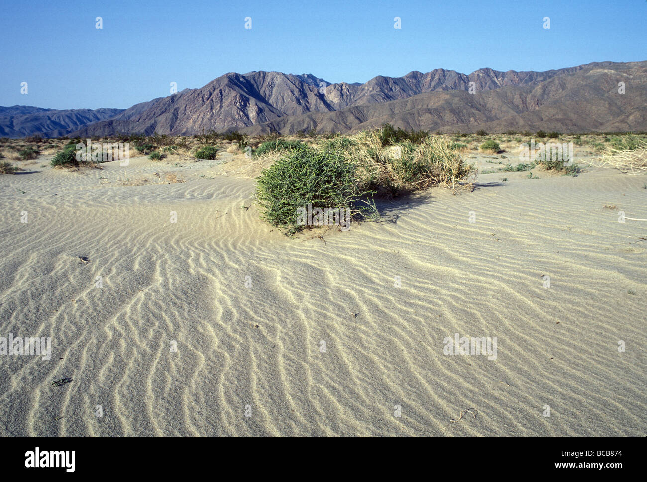 Sand dunes & San Ysidro Mountains at El Vado (Anza Camp Stock Photo - Alamy