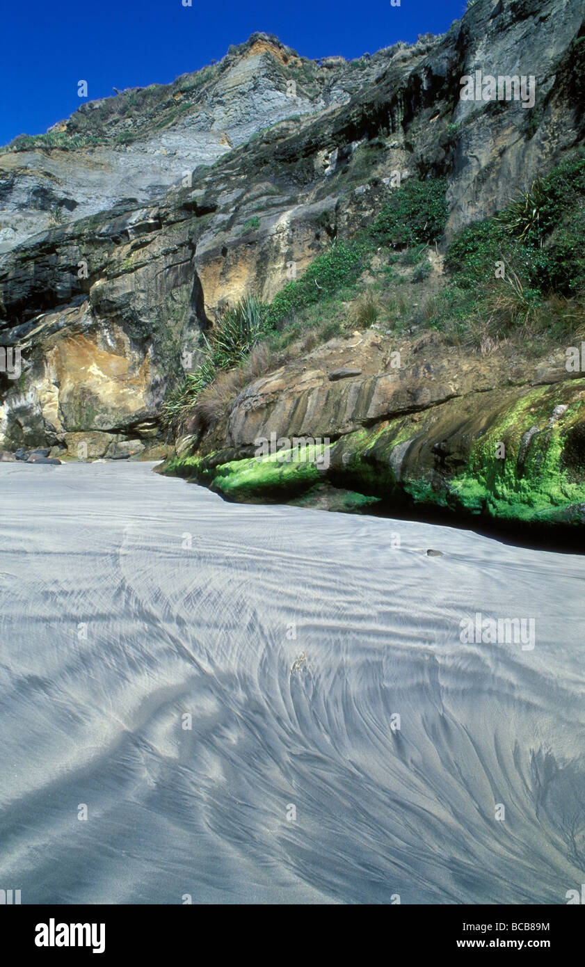 Sand patterns and moss on Fossil Point Stock Photo - Alamy