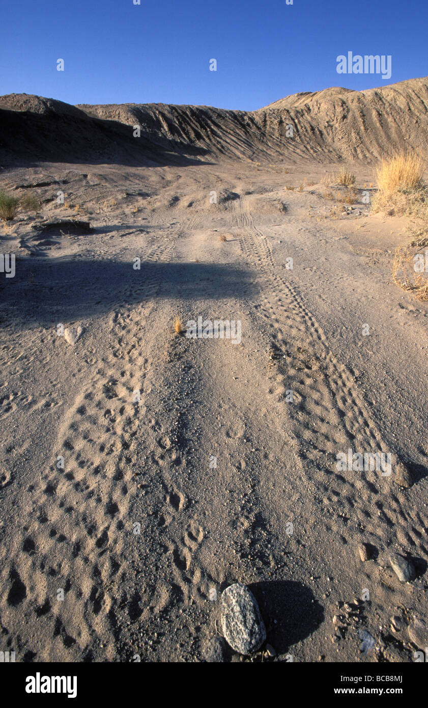 Atv Damage High Resolution Stock Photography and Images - Alamy