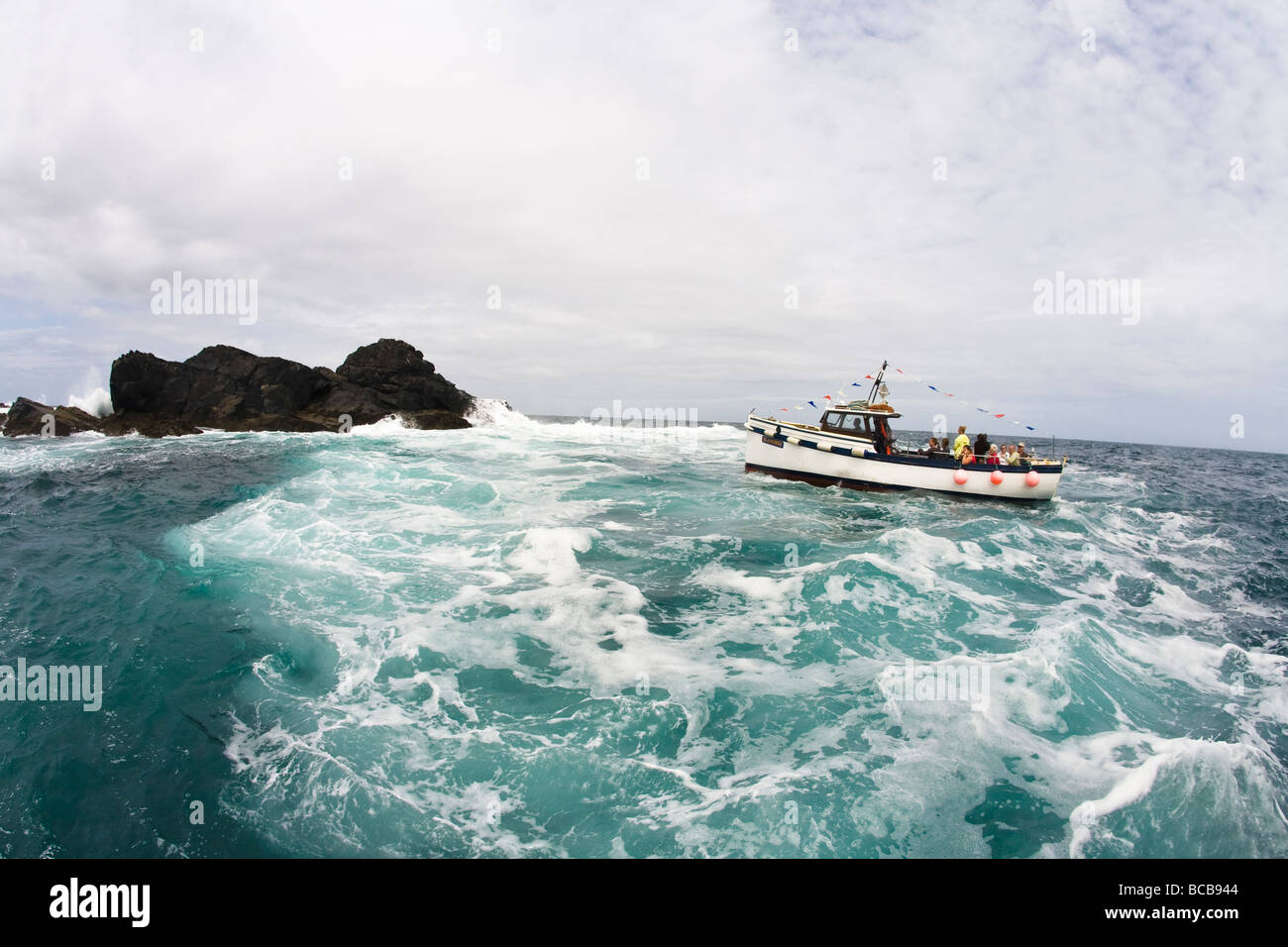 Boat trip Seahorse Seal Island St Ives Cornish Riviera Cornwall England ...