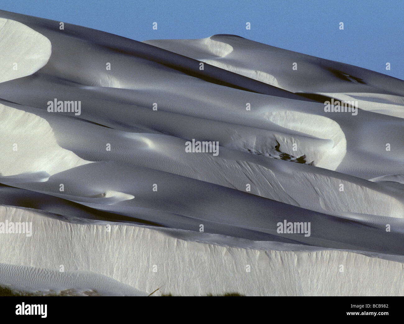 A vast and hostile sand dune field lines the coastline of the Nullabor ...