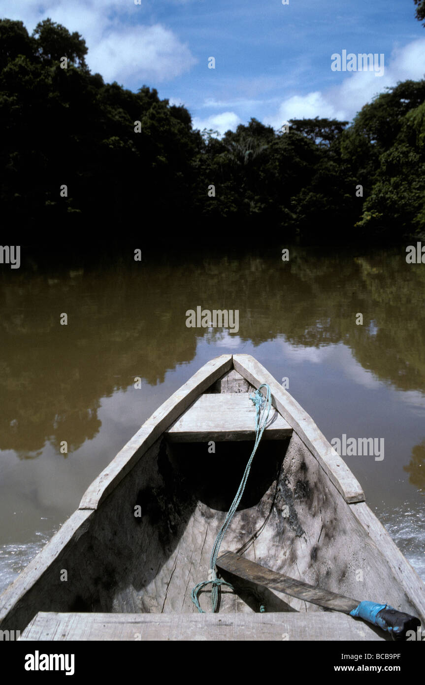 A dugout canoe on the Amazon River surrounded by tropical rainforest ...