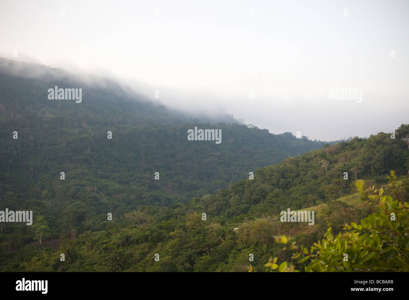 Rainforest Eastern Ghana West Africa Stock Photo - Alamy