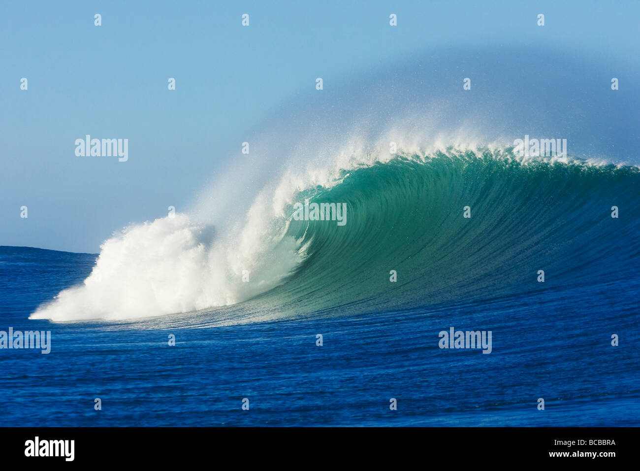 Wave curling hi-res stock photography and images - Alamy