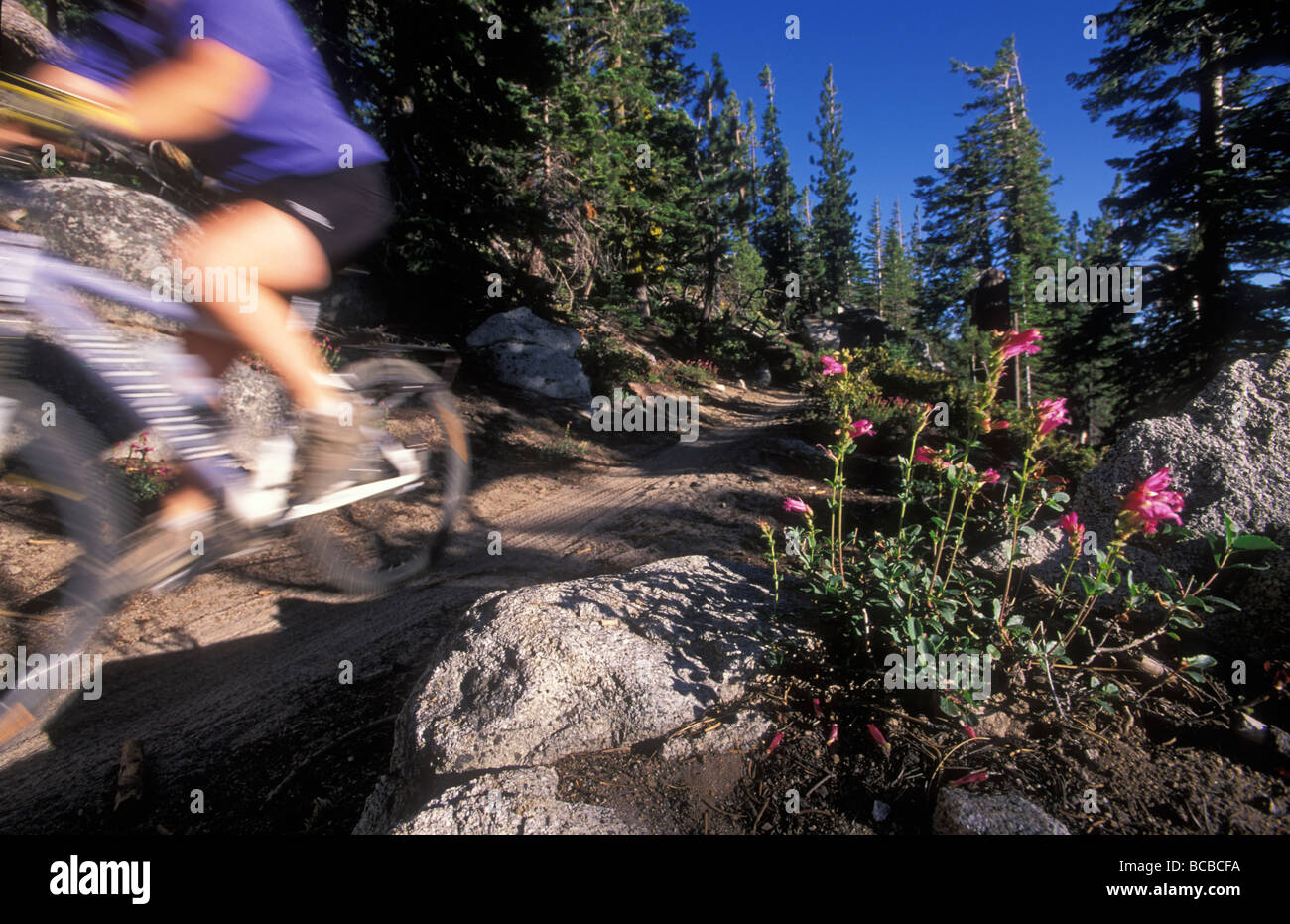 Flume trails hi-res stock photography and images - Alamy