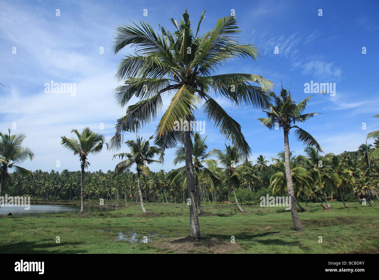 Ponnumthuruthu island india hi-res stock photography and images - Alamy